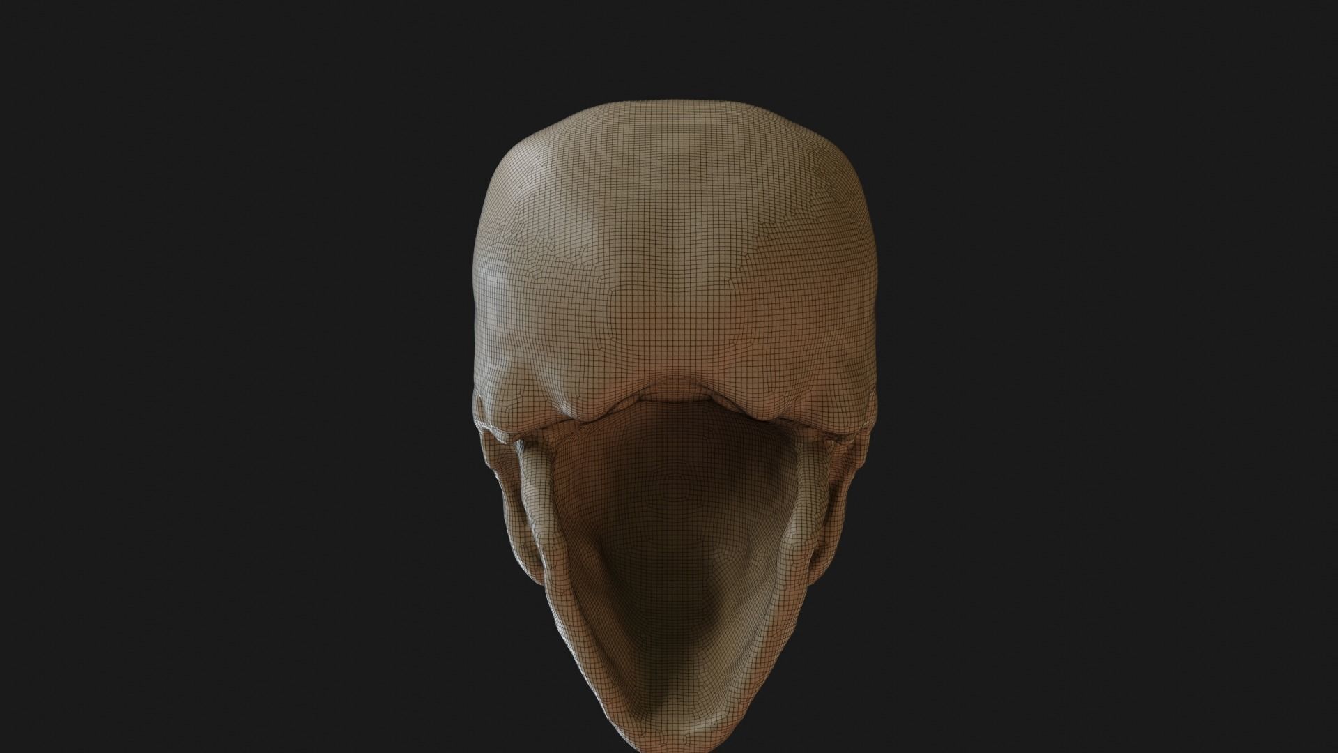Female human skull 3D model | CGTrader