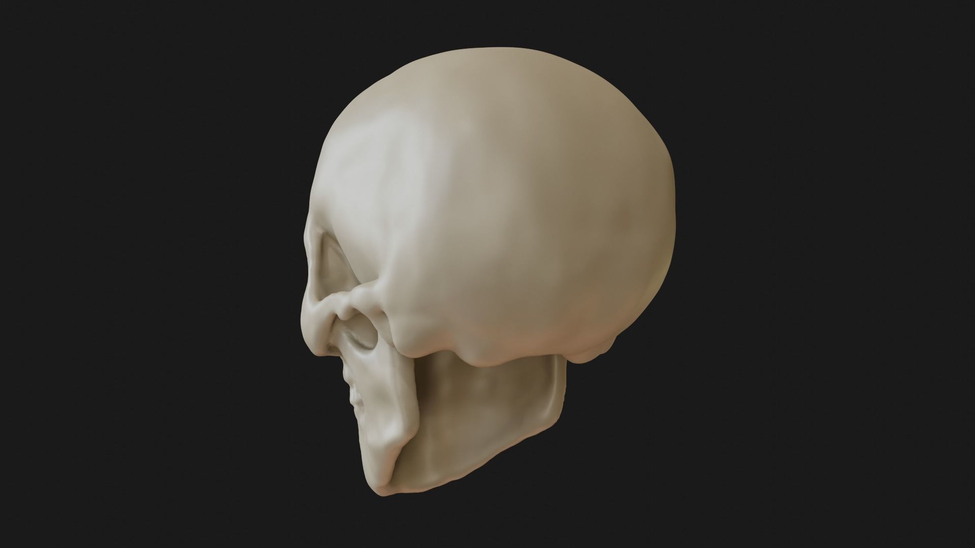 Female human skull 3D model | CGTrader