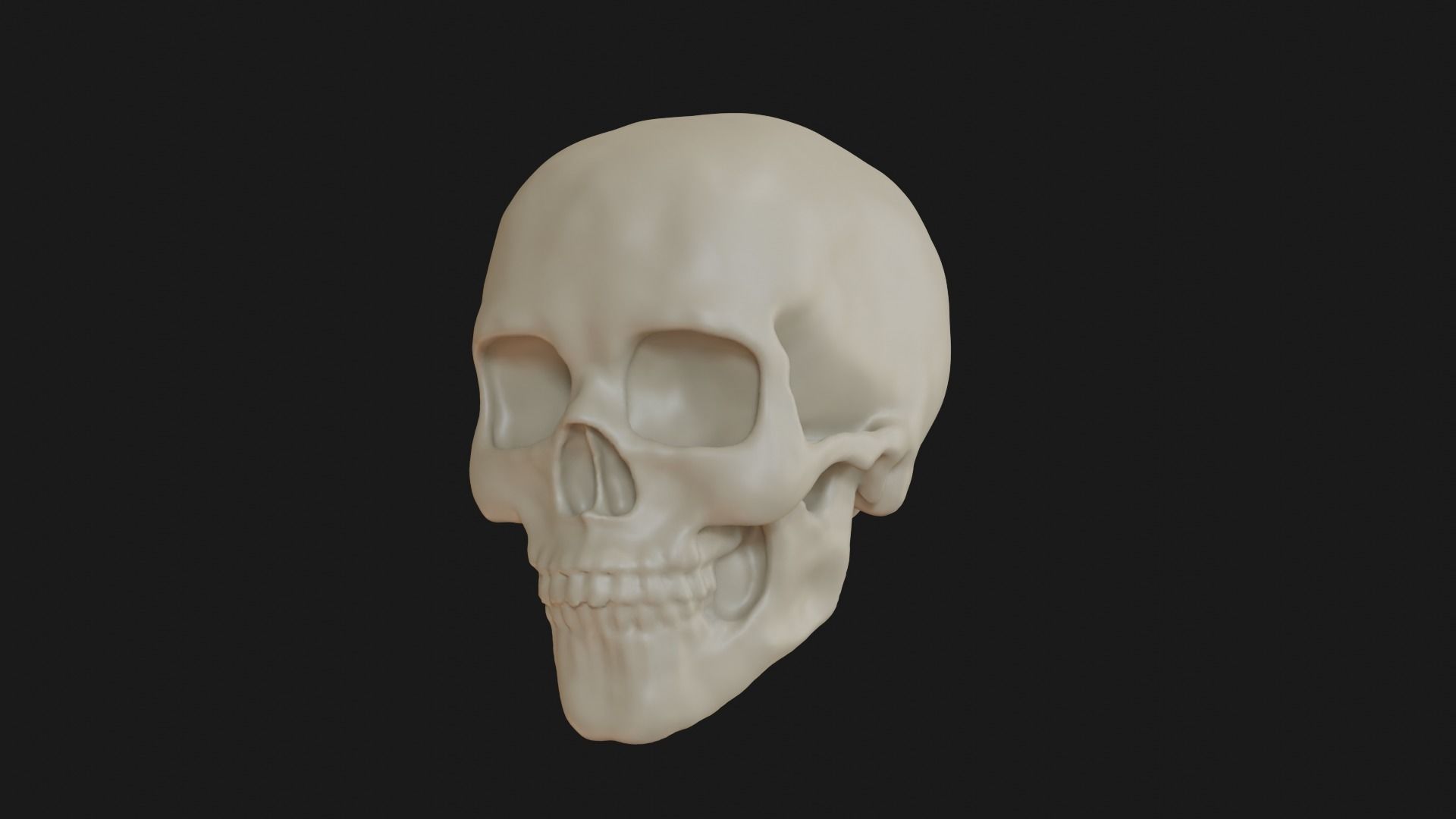 Female human skull 3D model | CGTrader