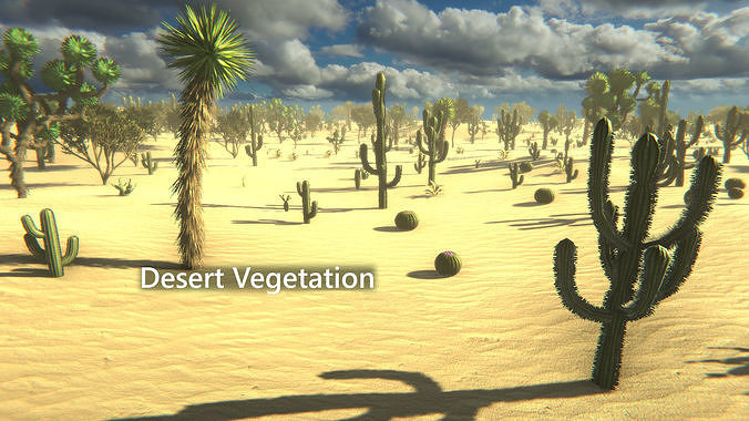 3D model Desert Vegetation VR / AR / low-poly | CGTrader