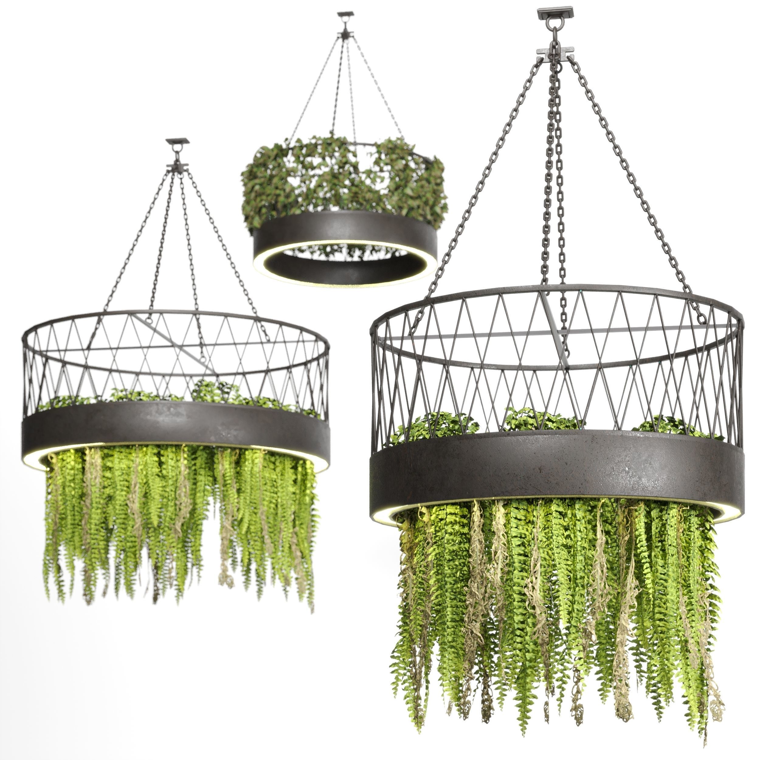 hanging plant 05 3D model | CGTrader