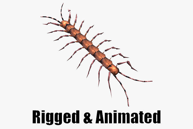3D model low-poly animated centipede VR / AR / low-poly | CGTrader