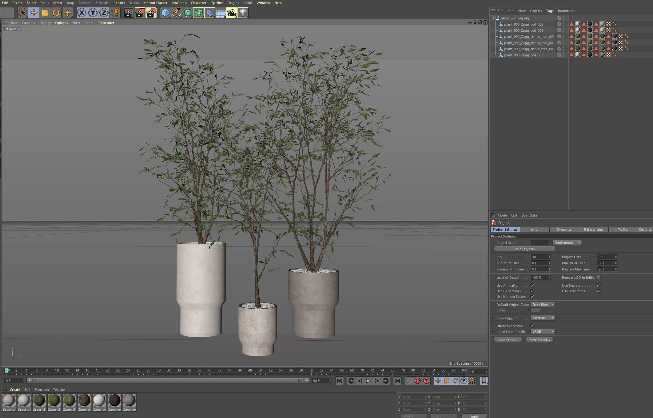 Plants collection 900 3D model | CGTrader