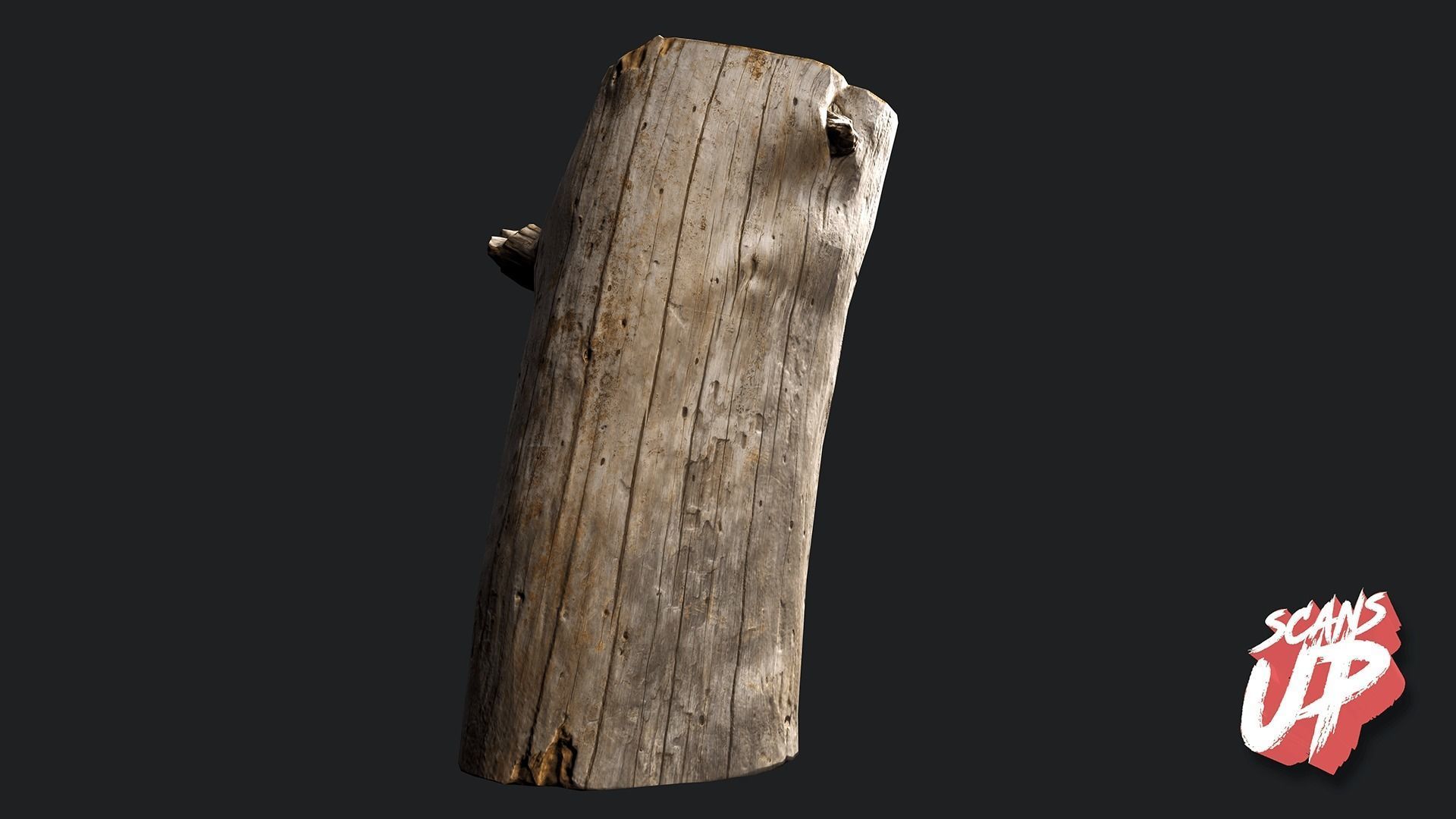 3D model Silver Logs Pack 01- Stonelake3D VR / AR / low-poly | CGTrader