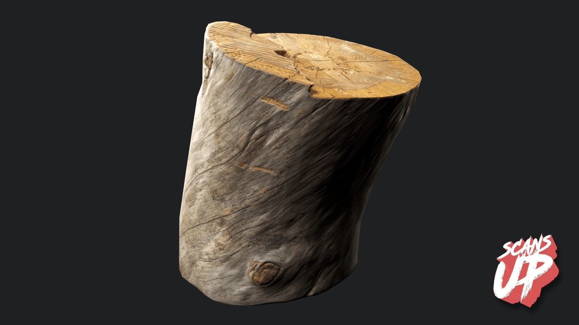 3D model Silver Logs Pack 01- Stonelake3D VR / AR / low-poly | CGTrader