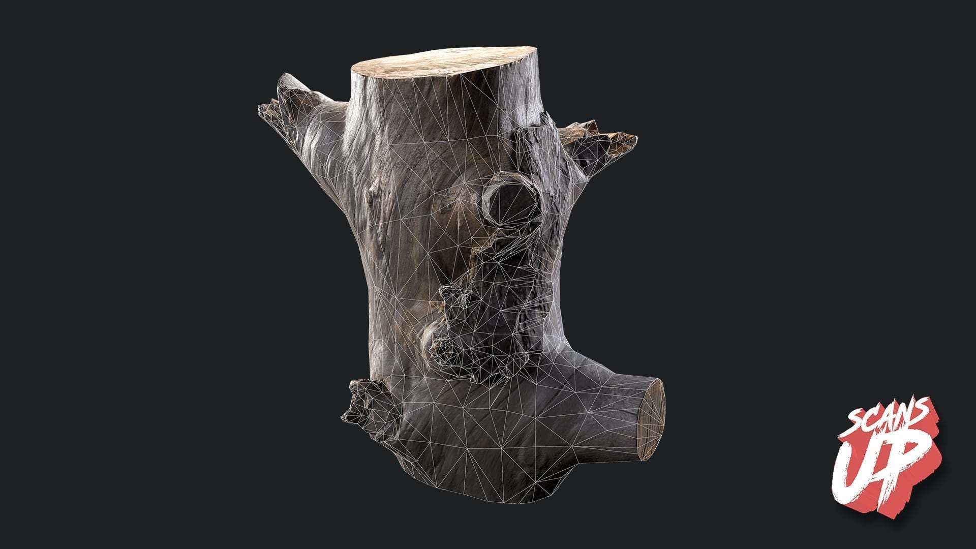 3D model Silver Logs Pack 01- Stonelake3D VR / AR / low-poly | CGTrader