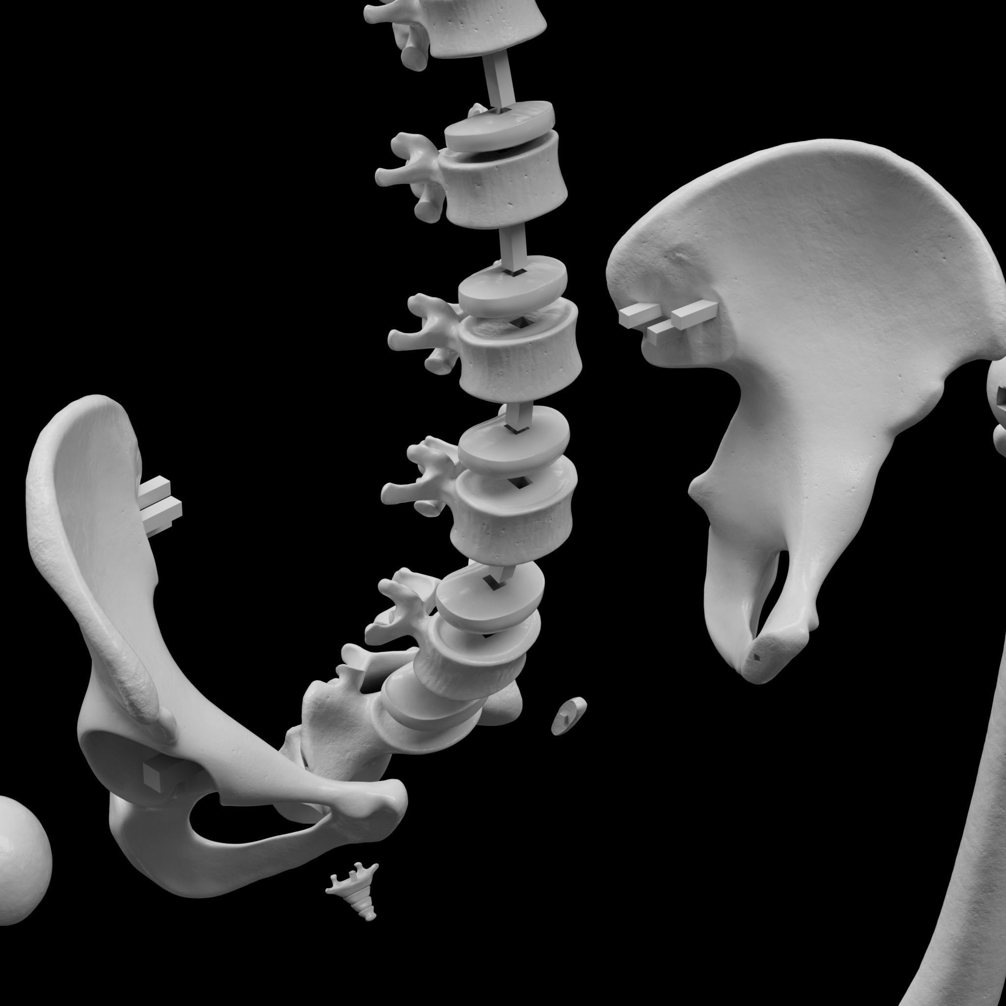 Human Skeleton - 3D Printing 3D model 3D printable | CGTrader