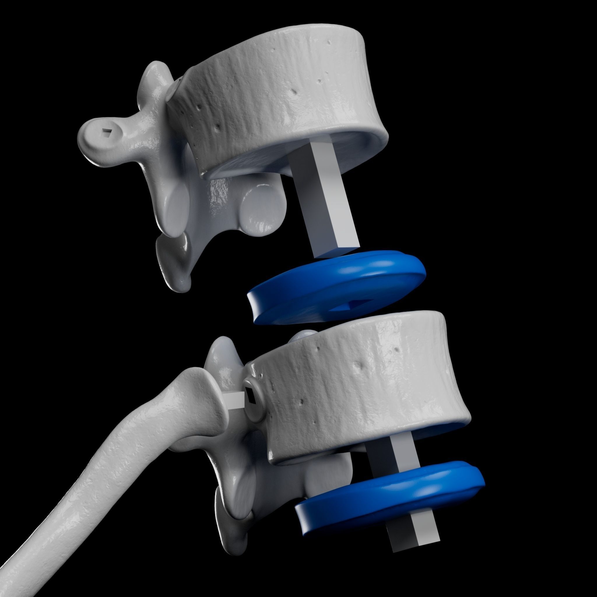 Human Skeleton - 3D Printing 3D model 3D printable | CGTrader