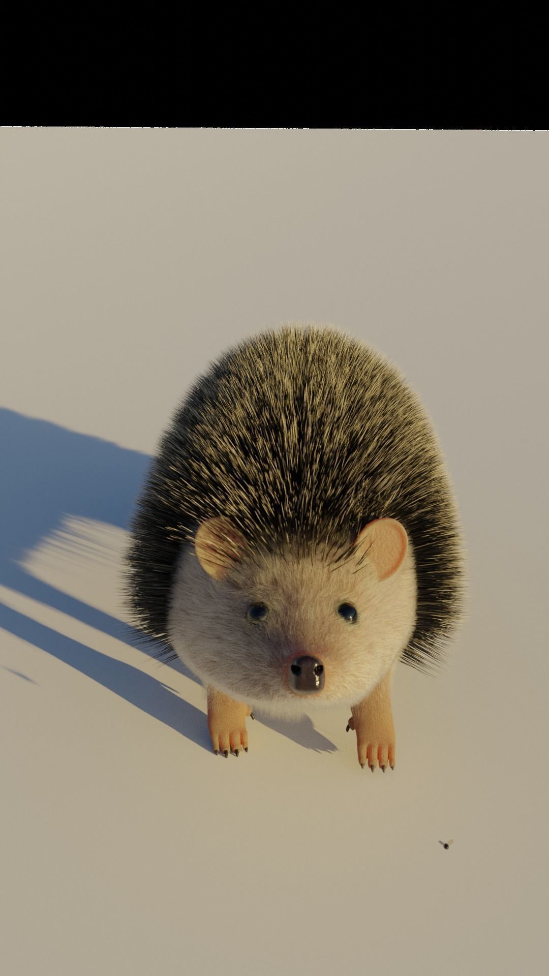 A cute spiny Hedgehog 3D model animated rigged | CGTrader