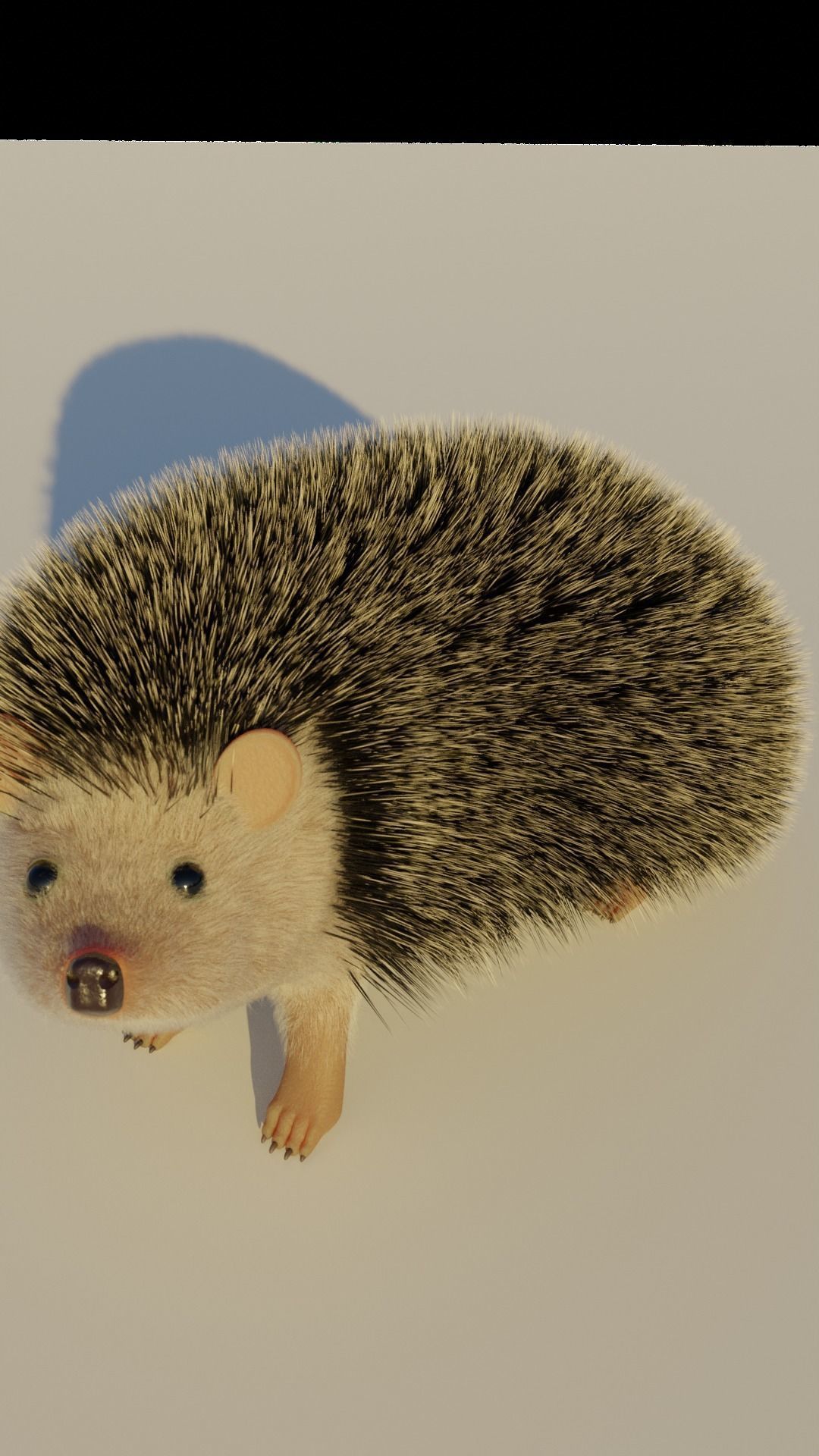 A cute spiny Hedgehog 3D model animated rigged | CGTrader