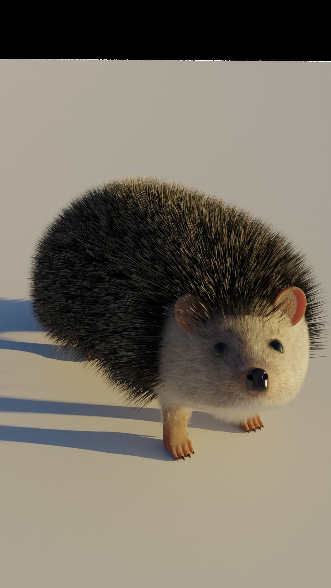 A cute spiny Hedgehog 3D model animated rigged | CGTrader