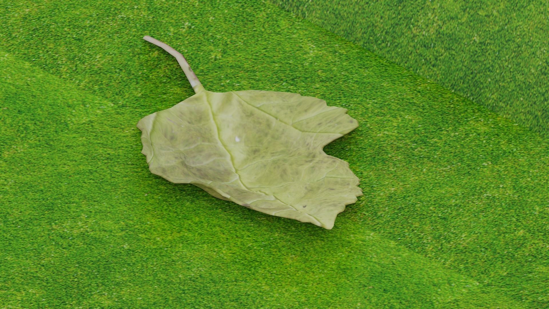 3D model Leaf 3D model VR / AR / low-poly | CGTrader