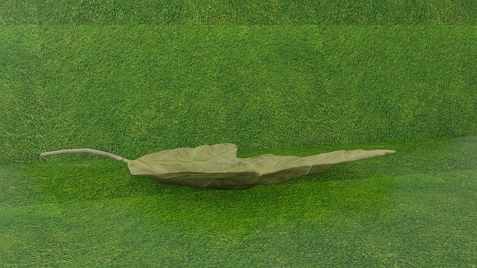 3D model Leaf 3D model VR / AR / low-poly | CGTrader
