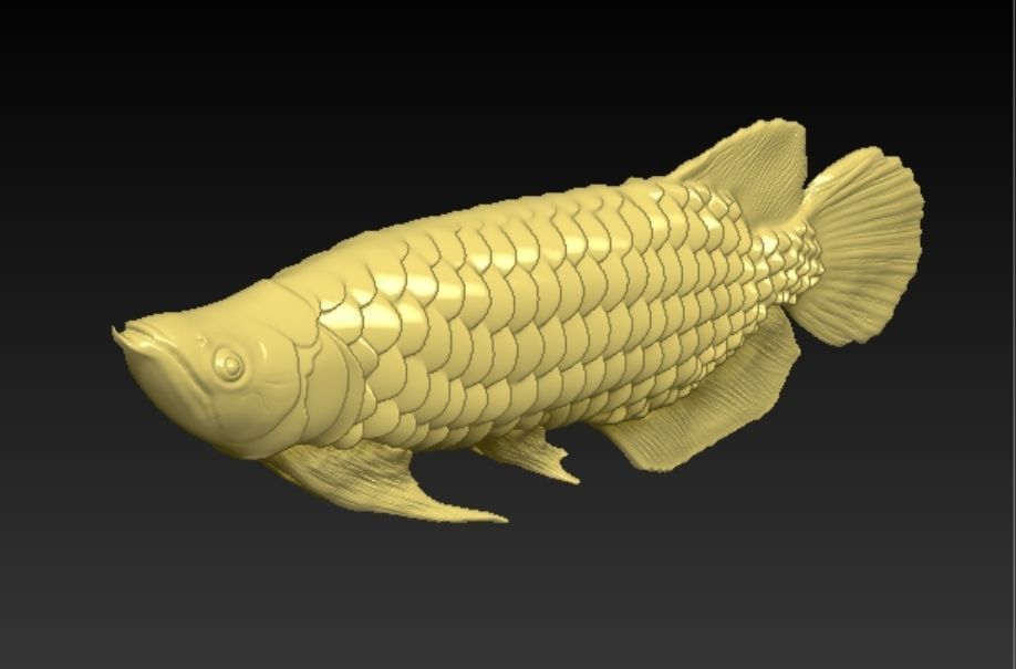 AROWANA DRAGON FISH 3D MODEL - 3Dprint ready 3D model 3D printable ...