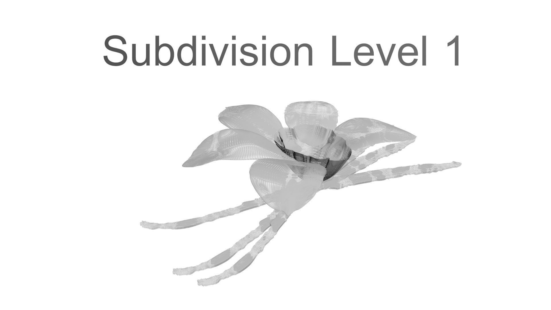 Vanilla 3D model | CGTrader