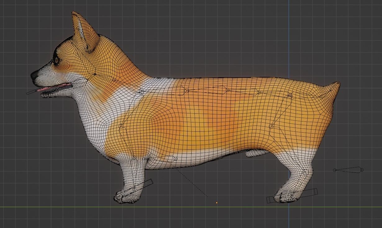 Corgi Dog 3D model rigged | CGTrader