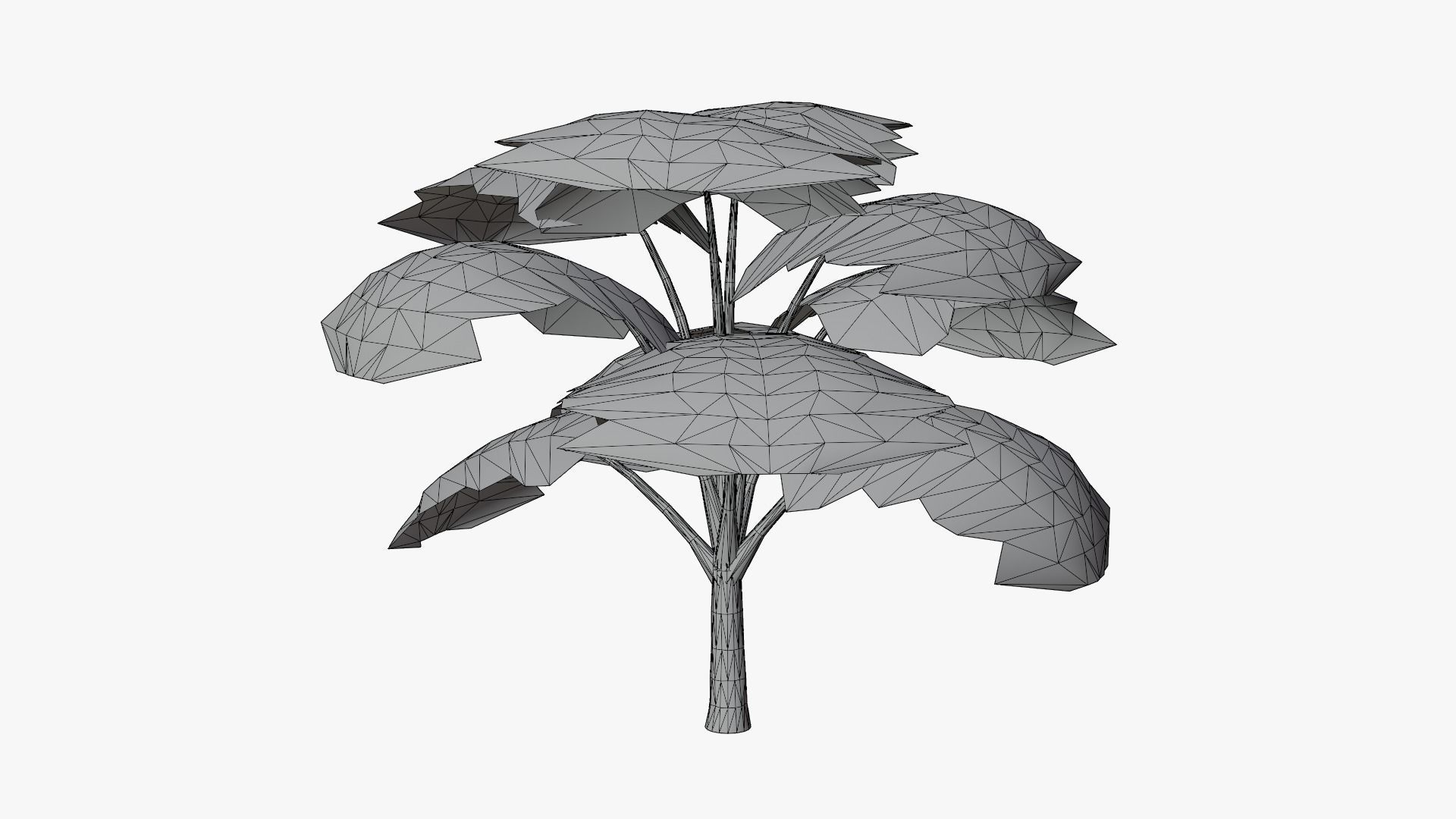 3D model Monstera Tropical Plant VR / AR / low-poly | CGTrader