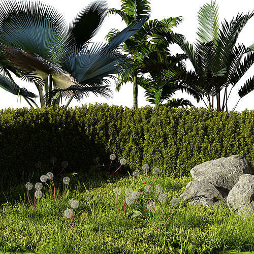 Garden Plants Collection 3D model | CGTrader