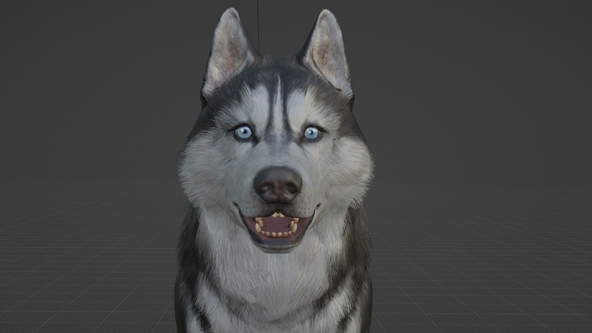 3D model DOG - SIBERIAN HUSKY VR / AR / low-poly | CGTrader