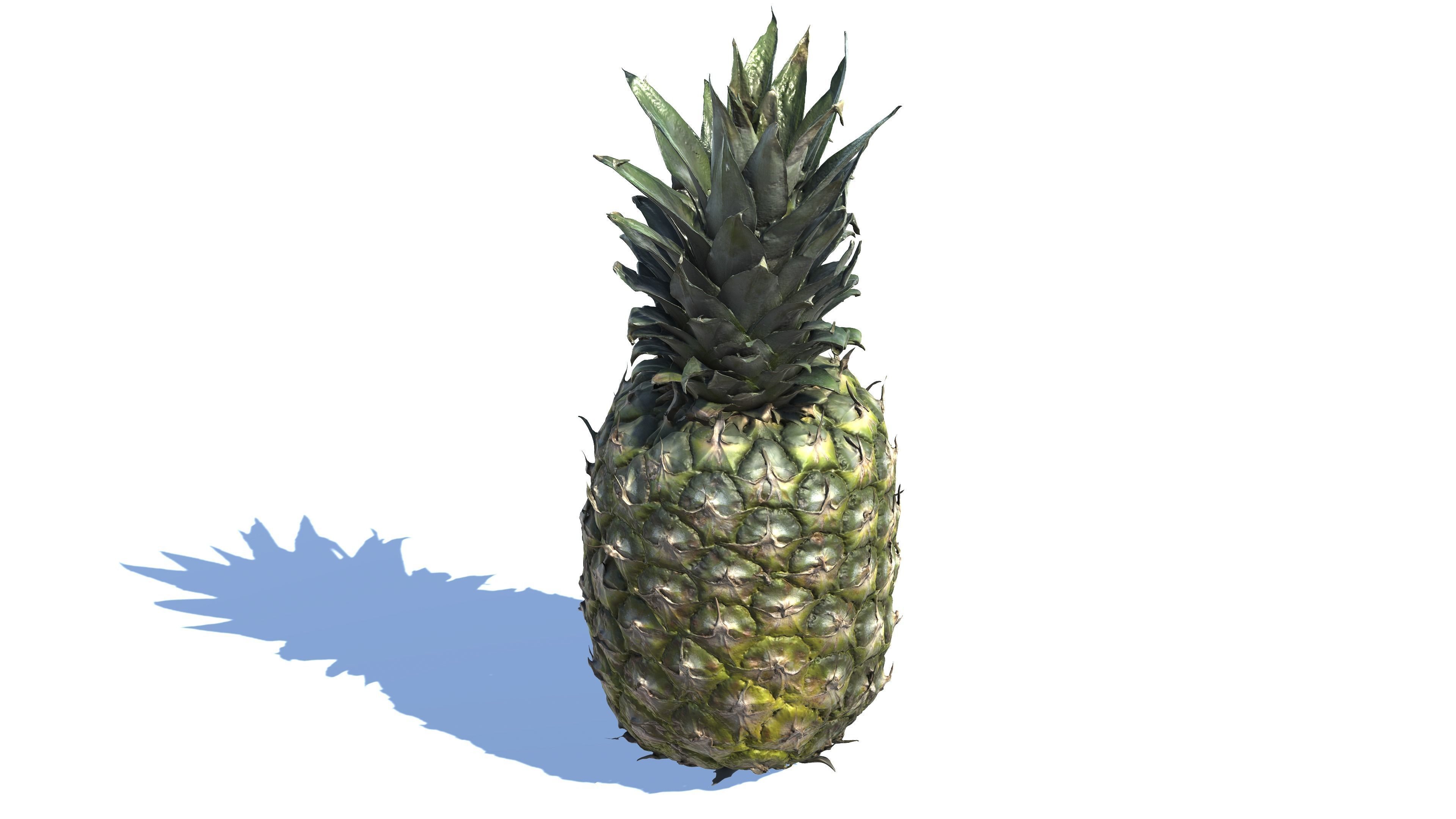 Pineapple photogrammetry scan 3D model | CGTrader