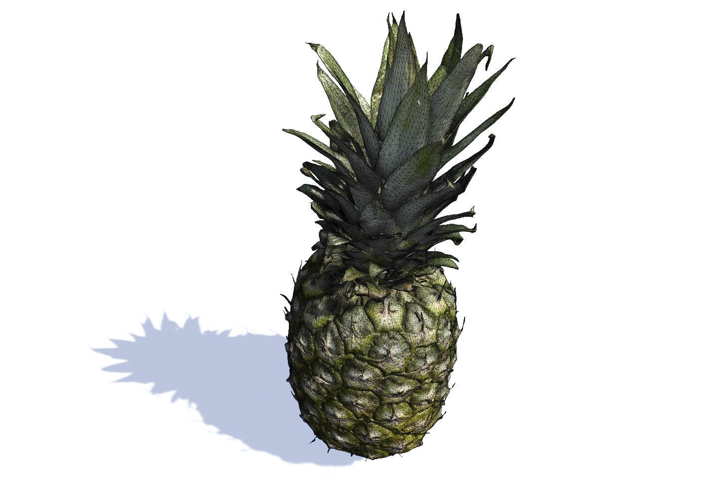 Pineapple photogrammetry scan 3D model | CGTrader