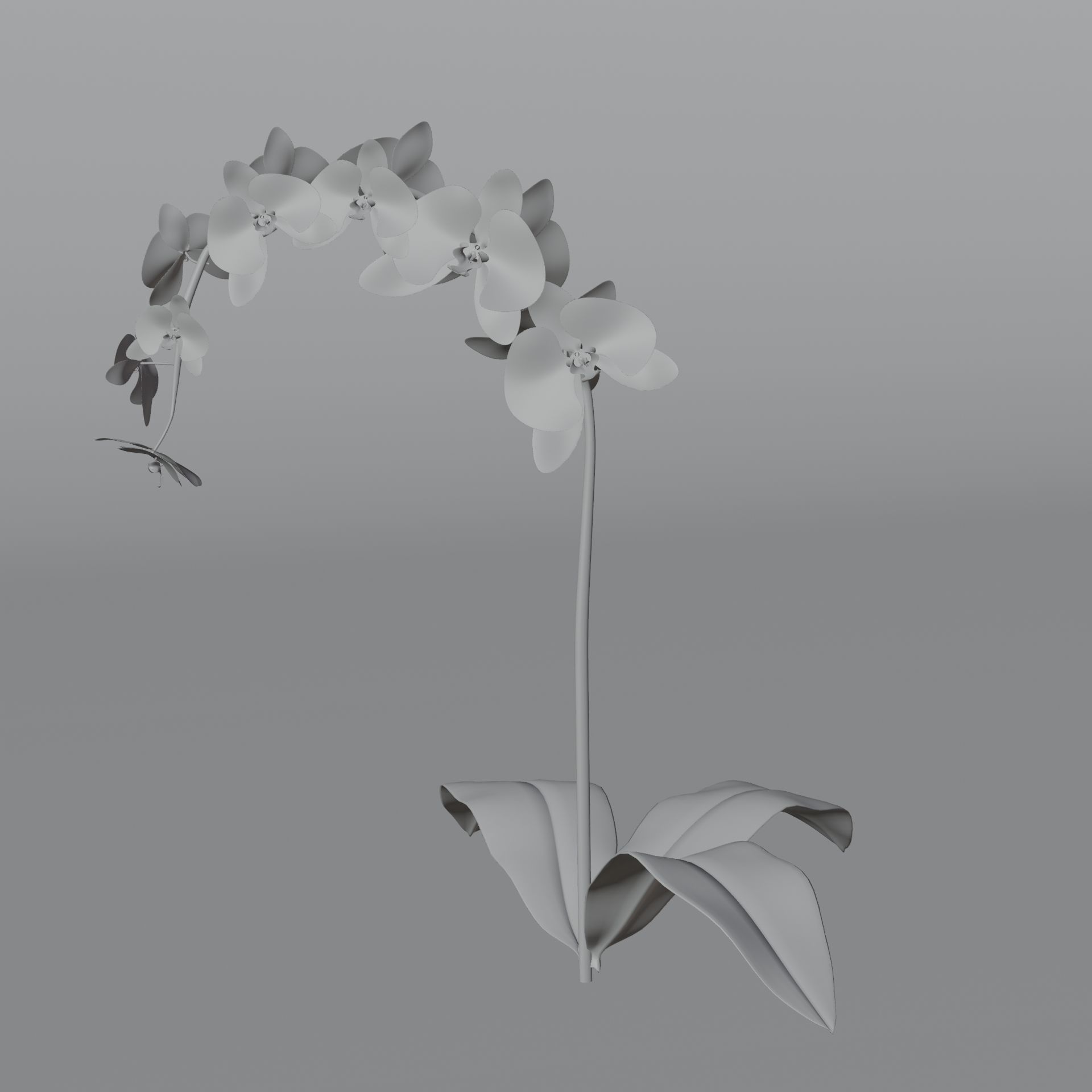 Orchid 3d flower 3D model | CGTrader
