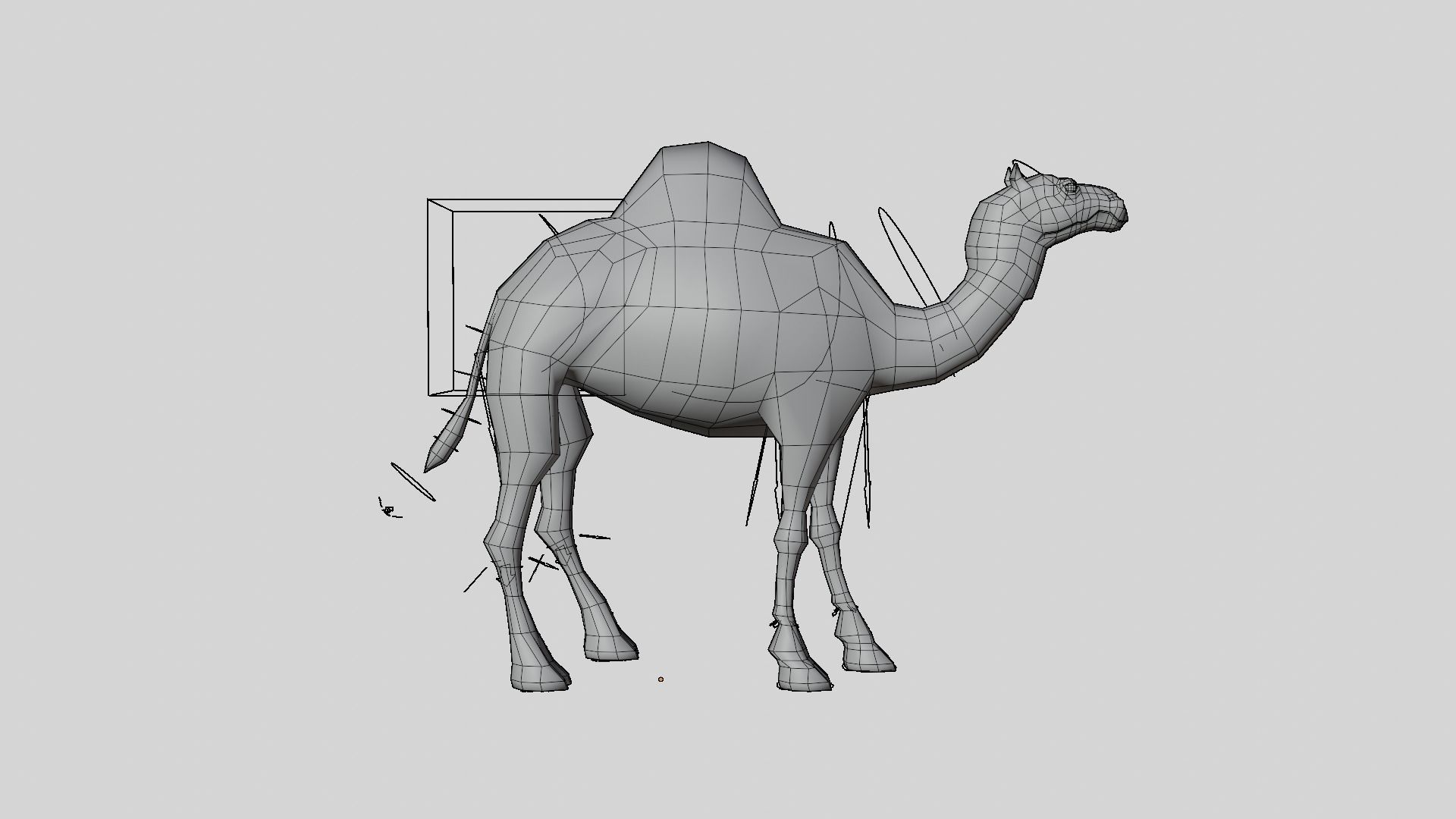 CAMEL RIGGED 3D model rigged | CGTrader