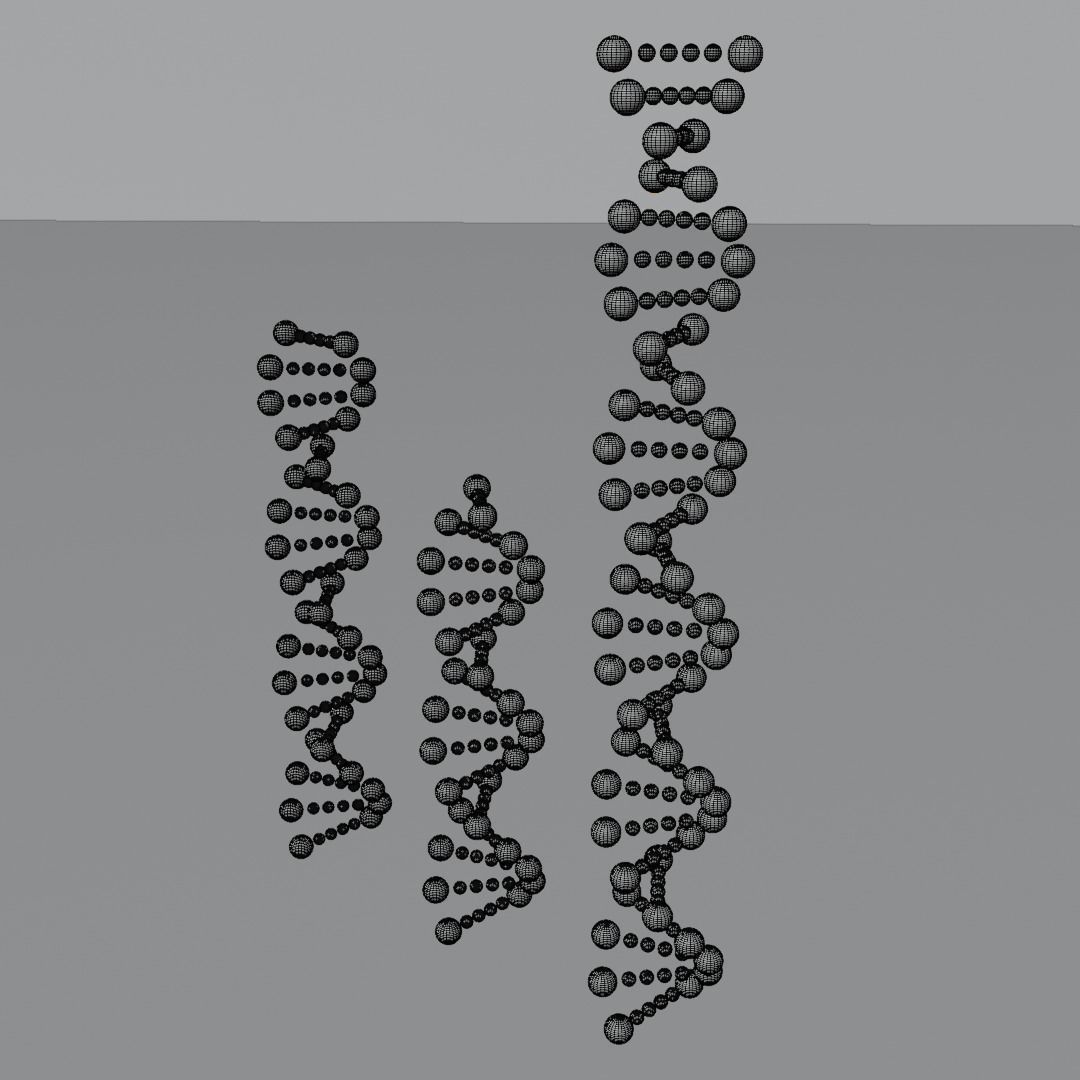 DNA model three strands 3D model | CGTrader