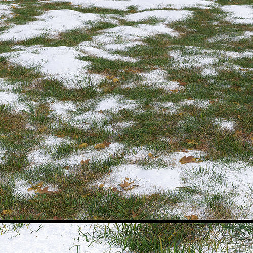 grass with snow 3D model | CGTrader
