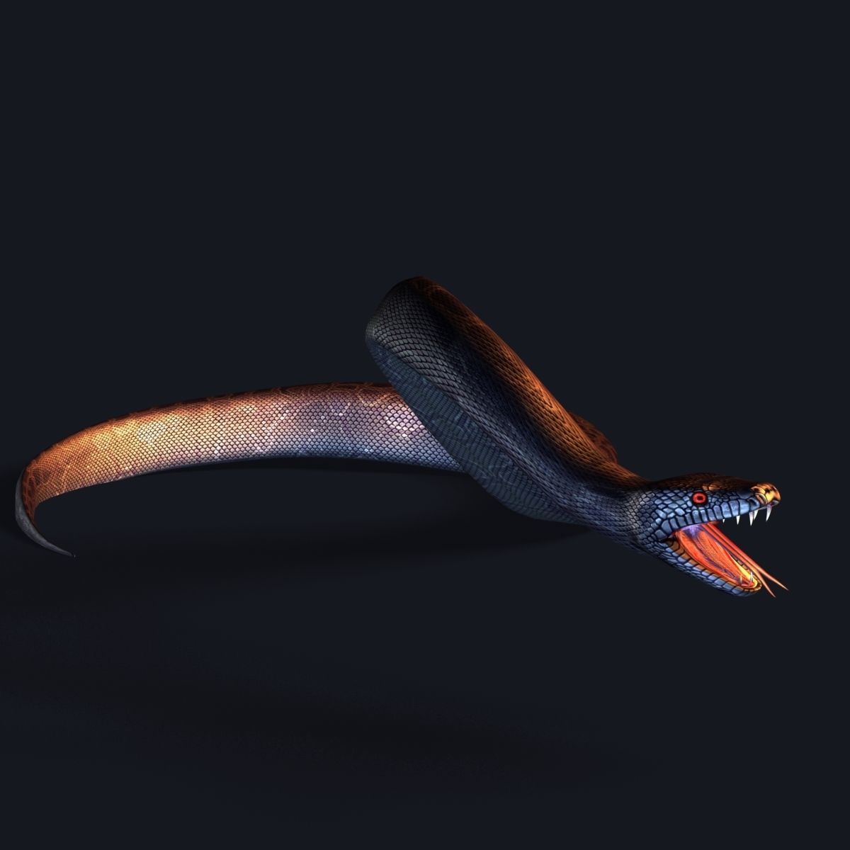 Skined LowPoly Realistic Black Python Snake 3D model rigged | CGTrader