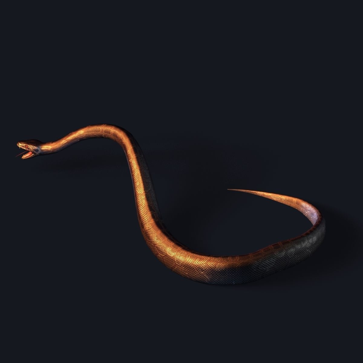 Skined LowPoly Realistic Black Python Snake 3D model rigged | CGTrader