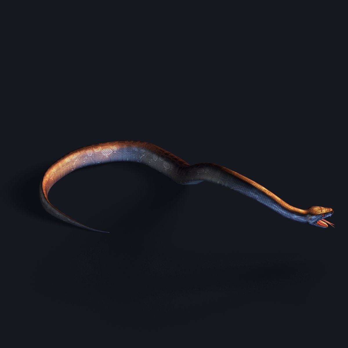 Skined LowPoly Realistic Black Python Snake 3D model rigged | CGTrader