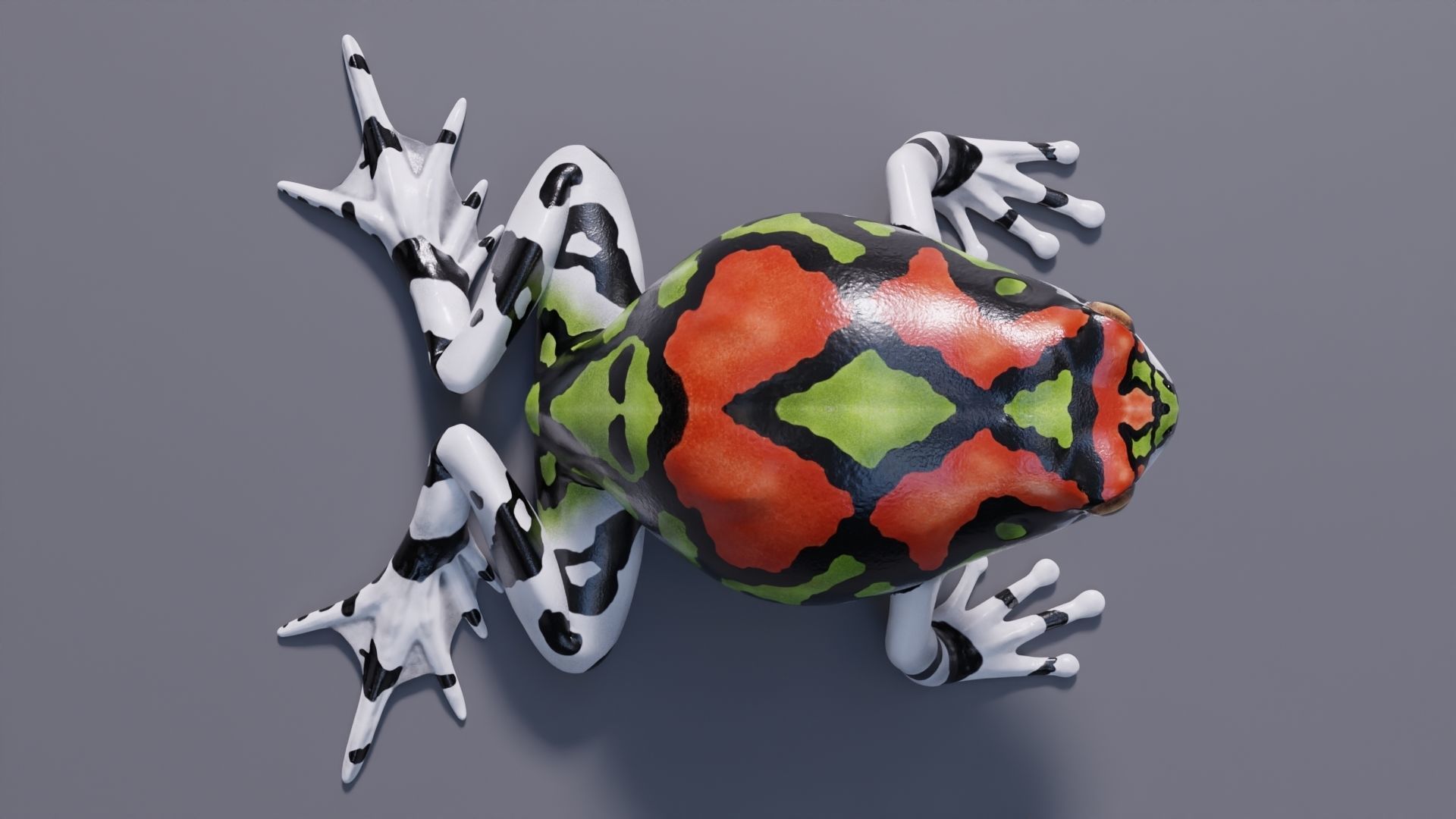 3D model Malagasy Rainbow Frog - Rigged VR / AR / low-poly | CGTrader