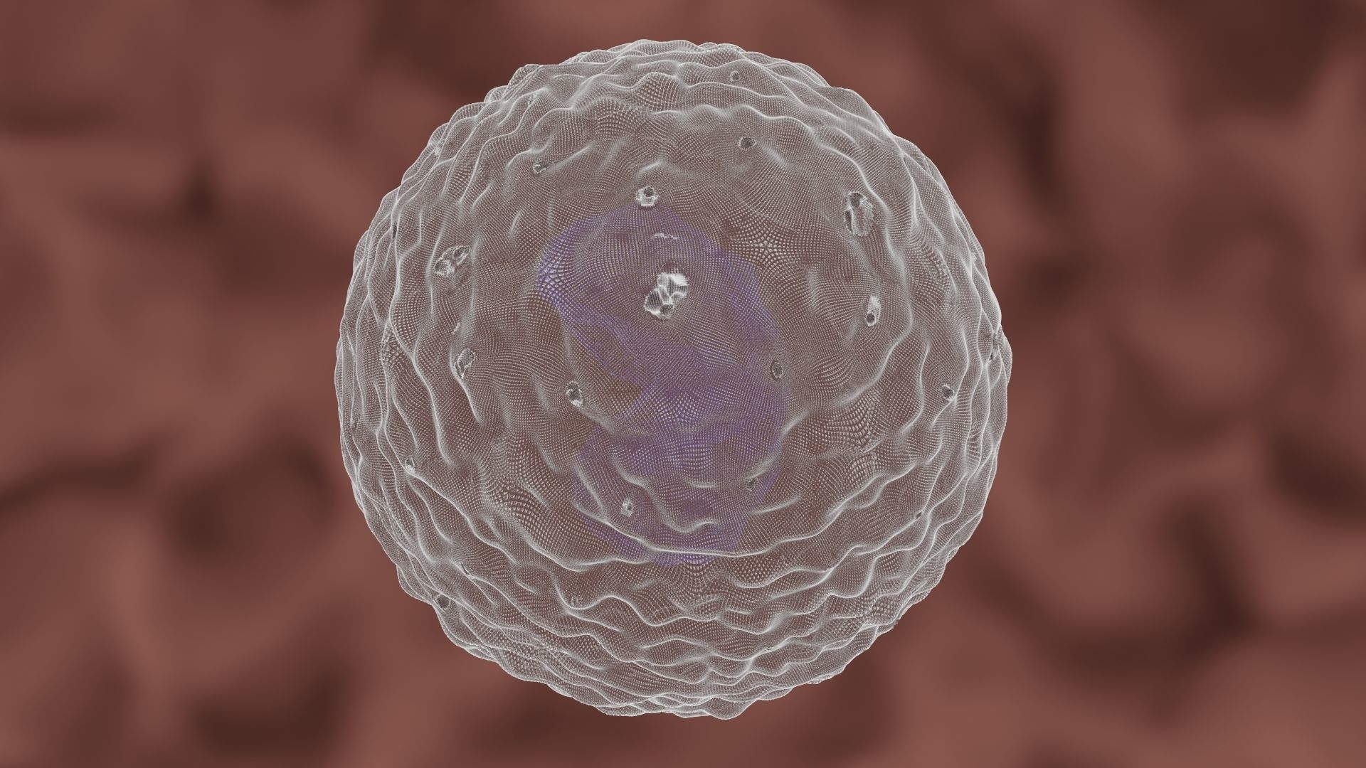 Monocyte cell 3D model | CGTrader