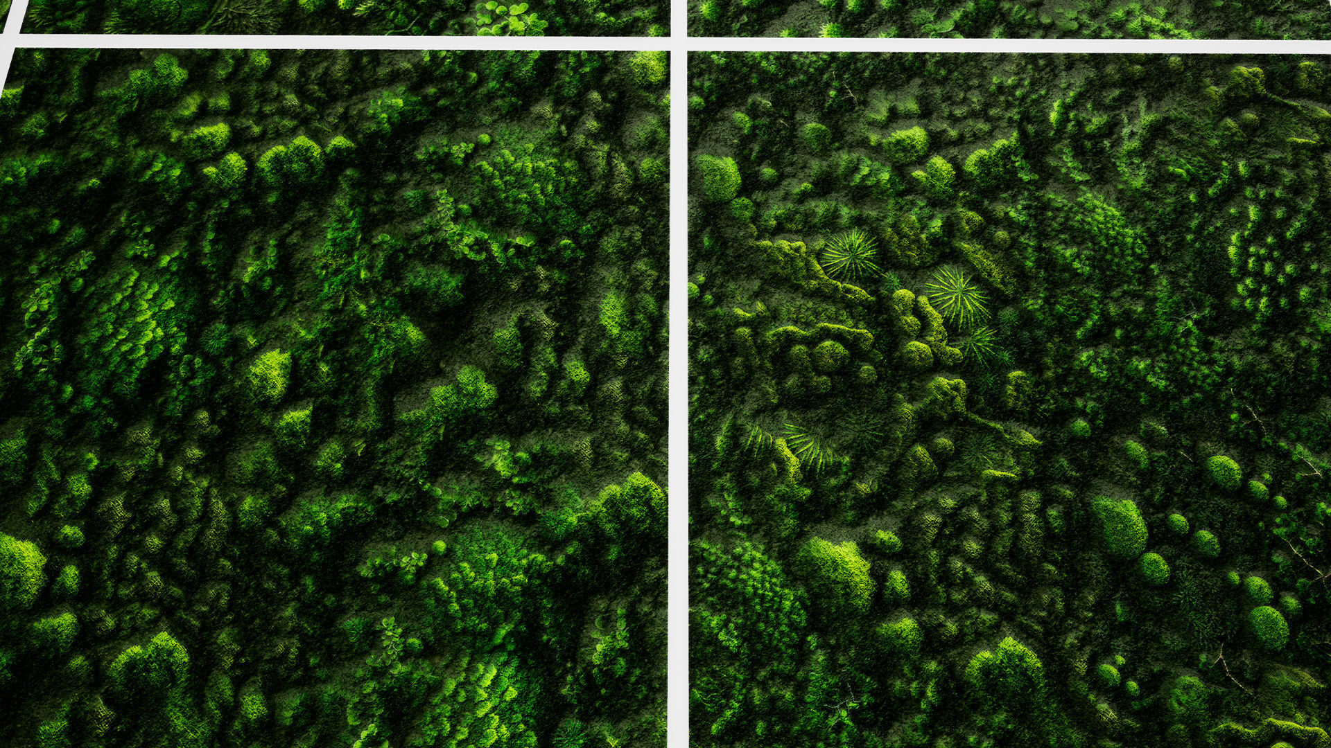 Green Wall Seamless PBR Textures Texture | CGTrader