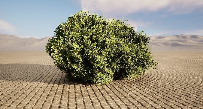 3D model Realistic Bush VR / AR / low-poly | CGTrader