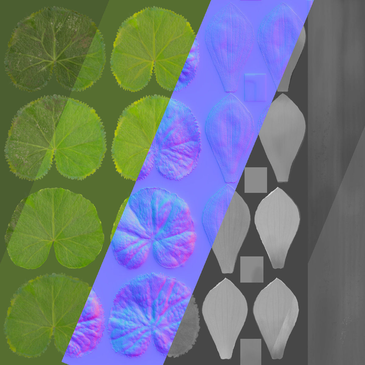 3D model Marsh Marigold VFX Grace VR / AR / low-poly | CGTrader