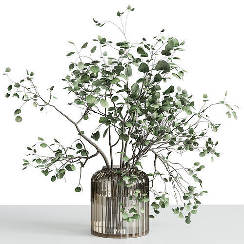 3D model Branches plant with galss vase white bouquet 30 VR / AR / low ...