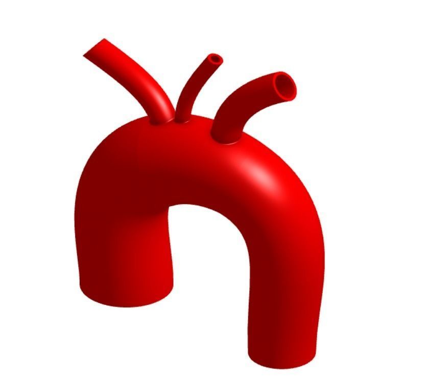3d Model Of Aortic Arch Real Dimensions 3d Model 3d Printable Cgtrader