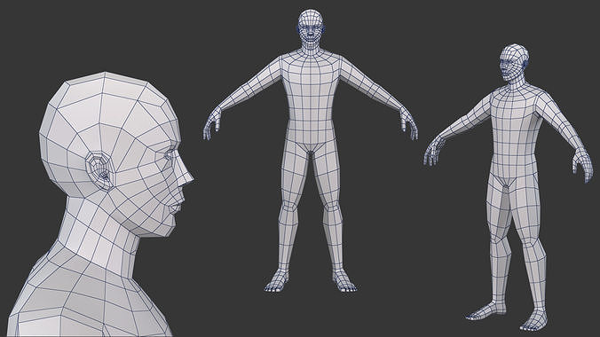Base Mesh Male 3D model | CGTrader