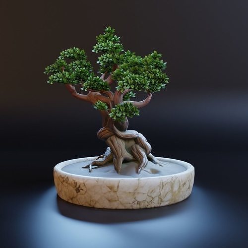 3D model Bonsai tree VR / AR / low-poly | CGTrader