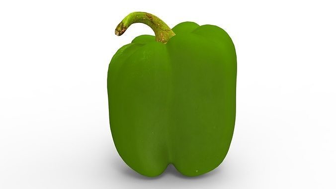 Green Bell Pepper 3D model | CGTrader