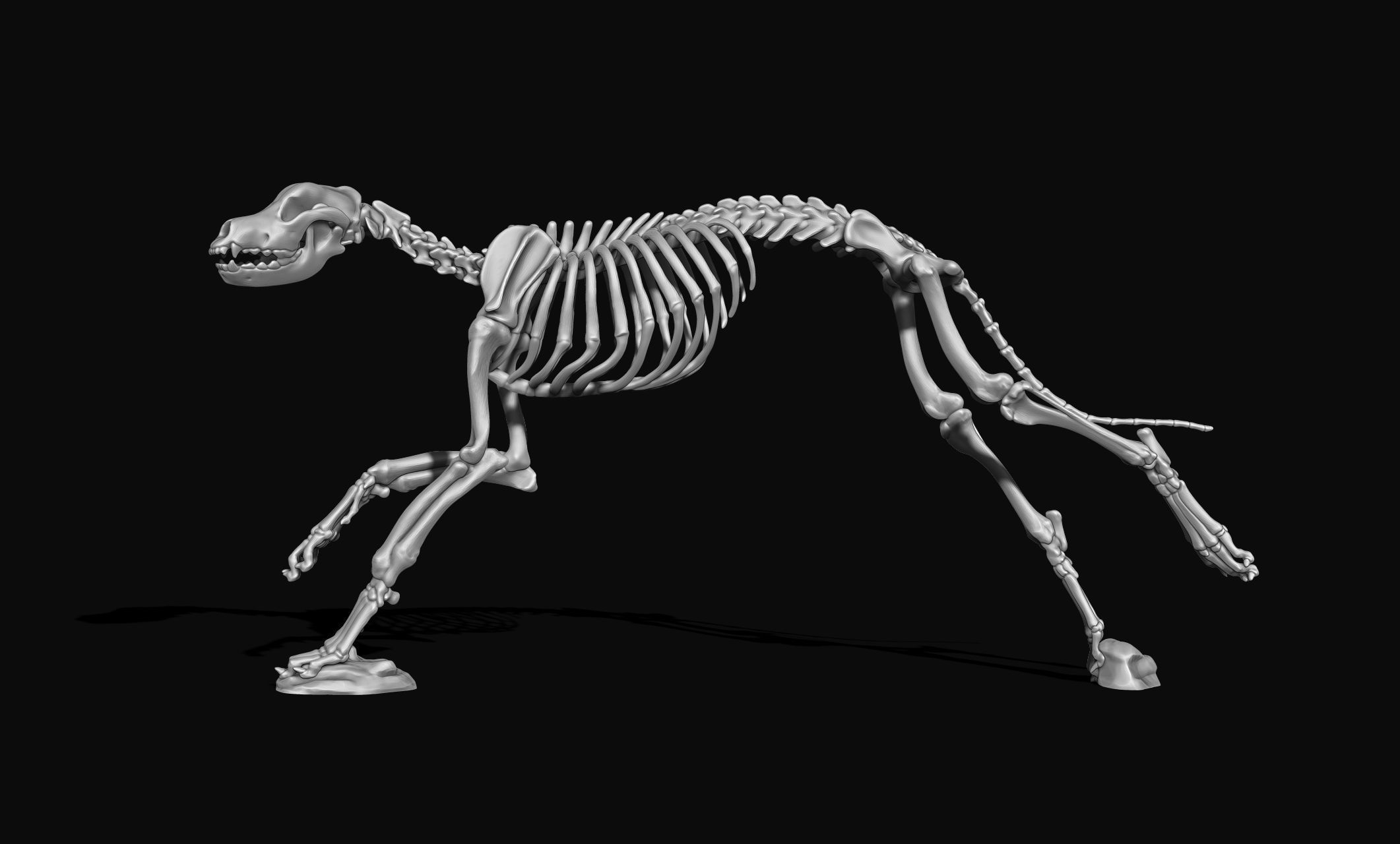 Great Dane Skelleton DYS KIT 3D model 3D printable | CGTrader