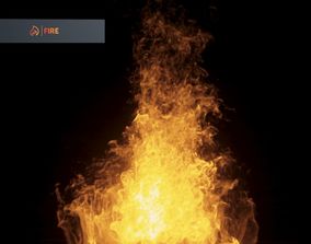 Animated Fire 3D Models | CGTrader