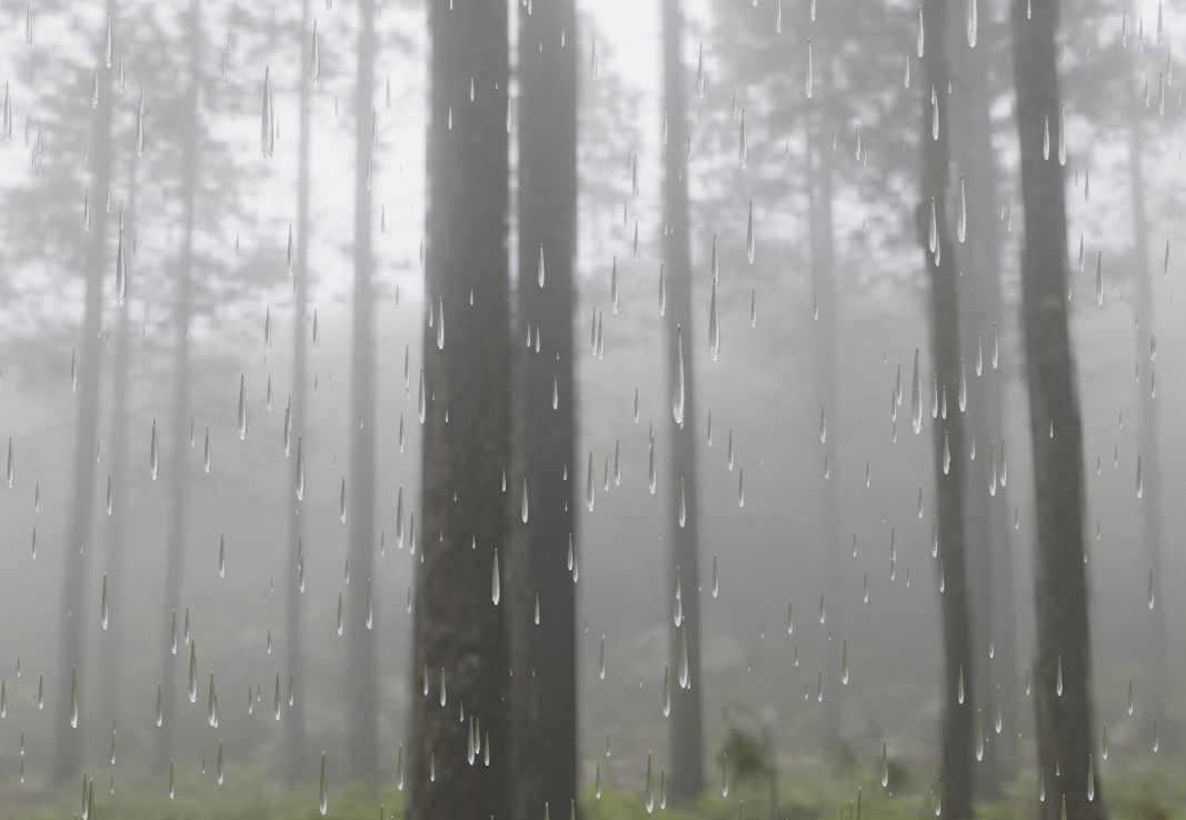 Realistic rain table with falling 3D model animated | CGTrader