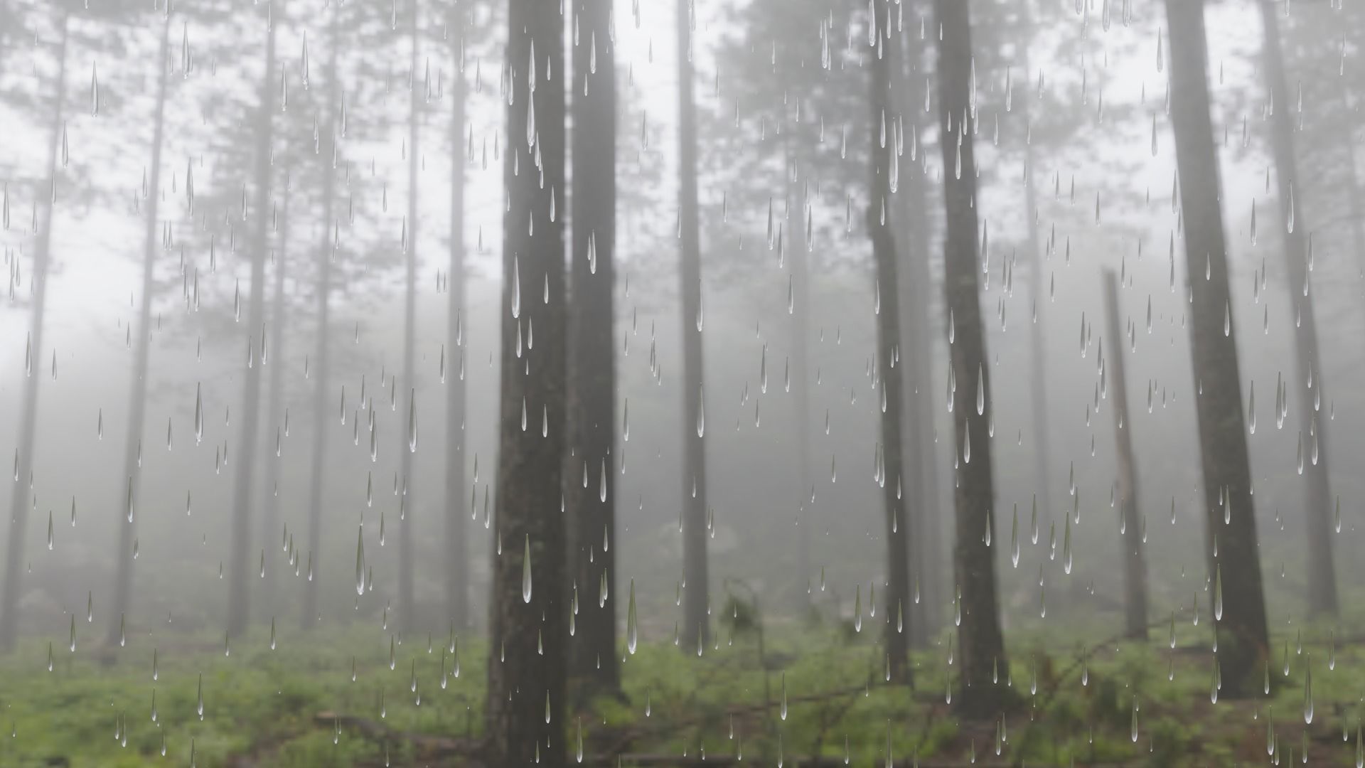 Realistic rain table with falling 3D model animated | CGTrader