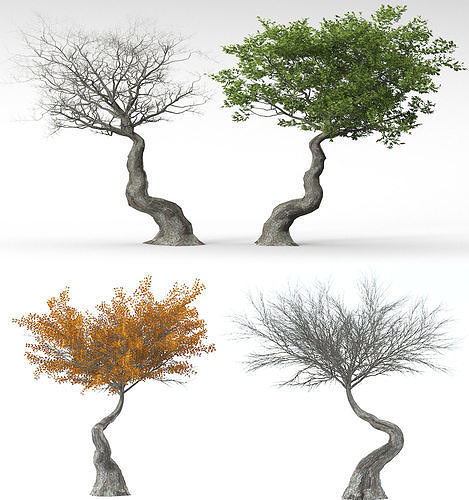 3D high quality trees in 3 mode season 3D model | CGTrader