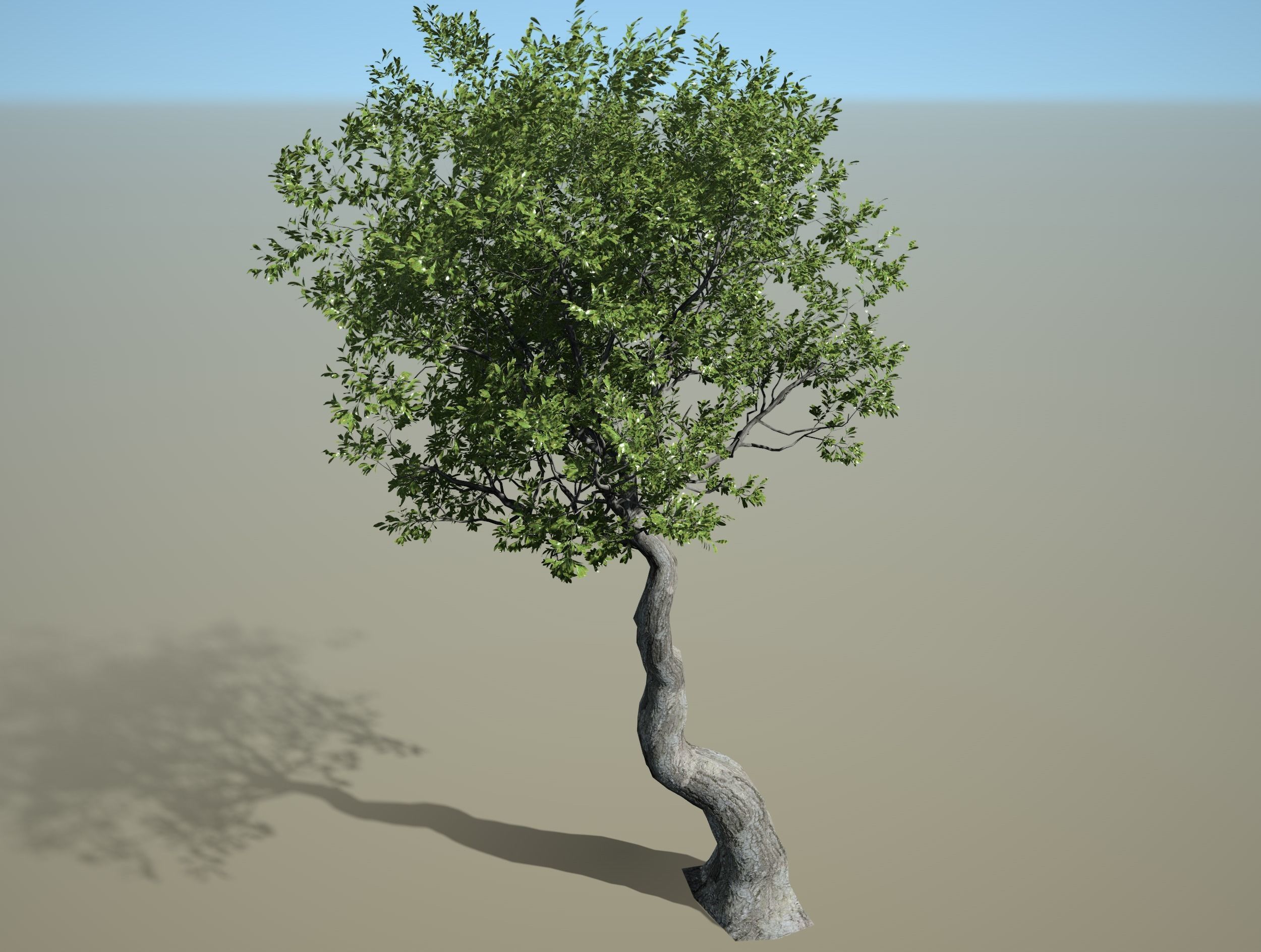 3D high quality trees in 3 mode season 3D model | CGTrader
