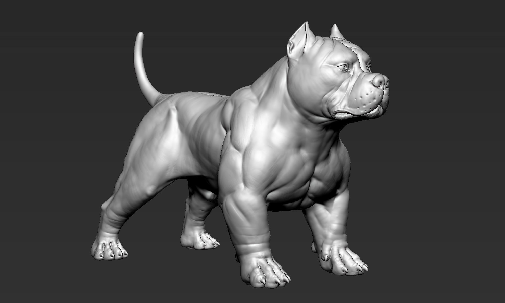 American Bully Dog 3D model 3D printable | CGTrader