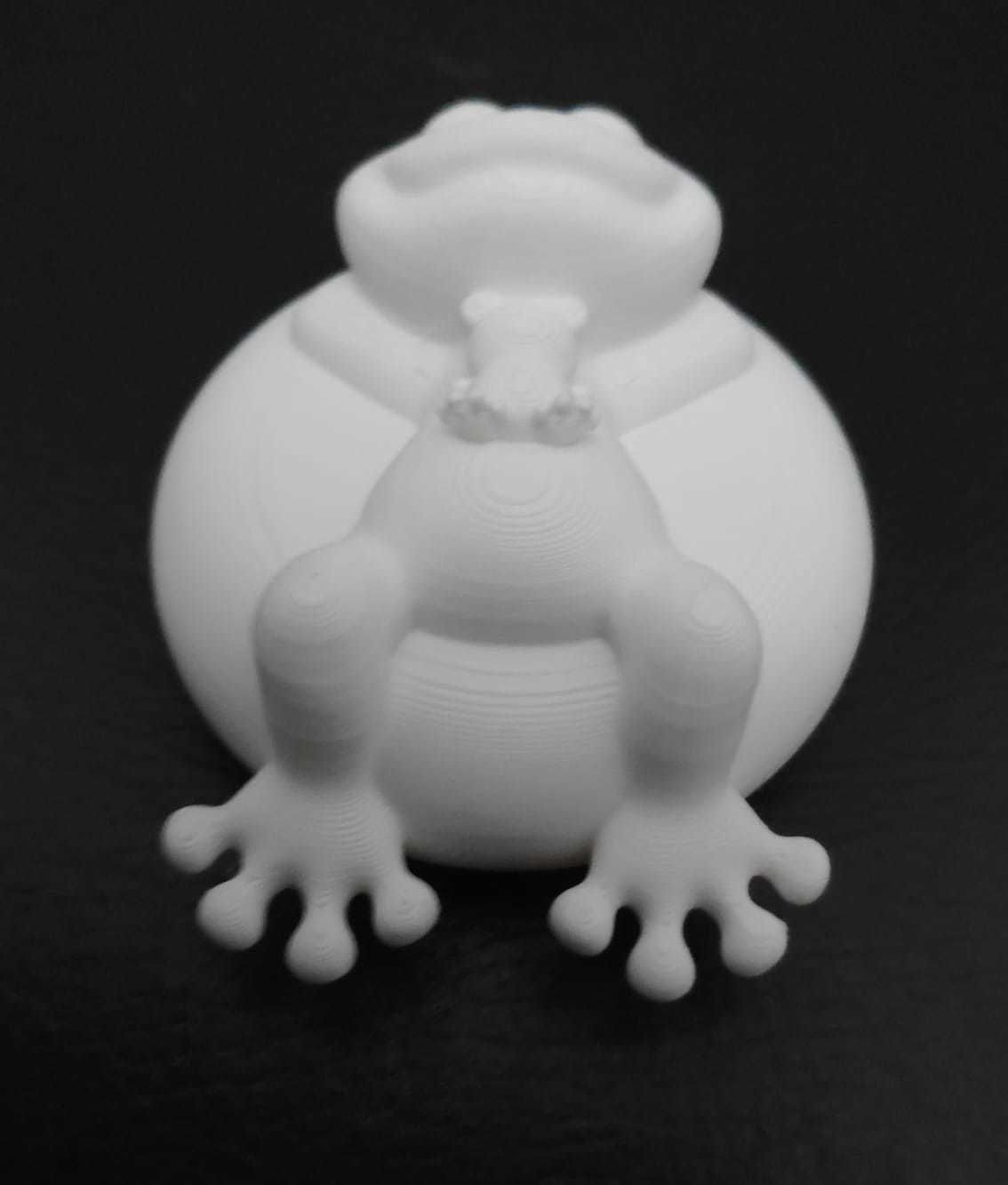 Floating Frog 3D model 3D printable | CGTrader